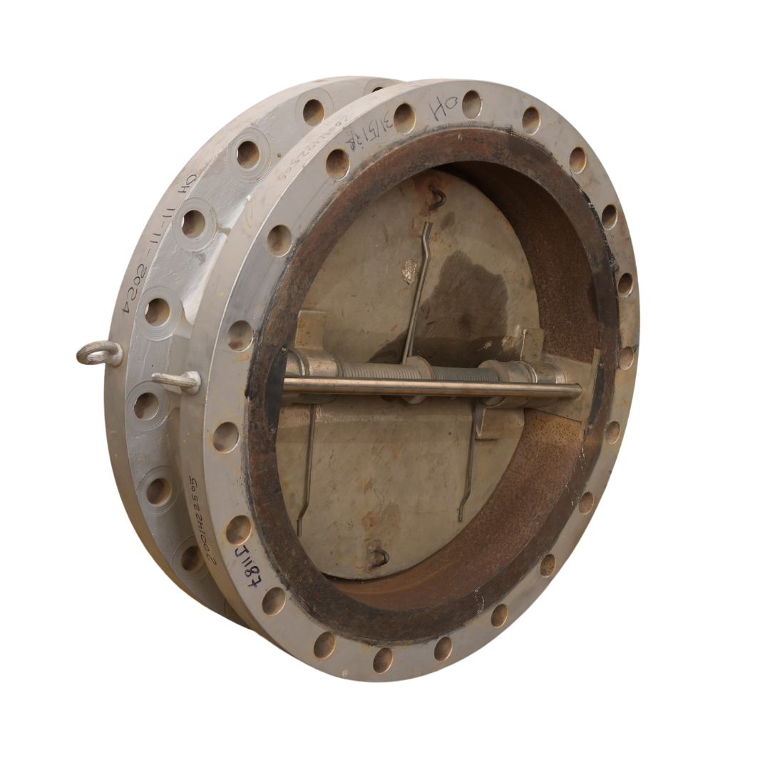 Check Valves (NRV) – jay Jalaram